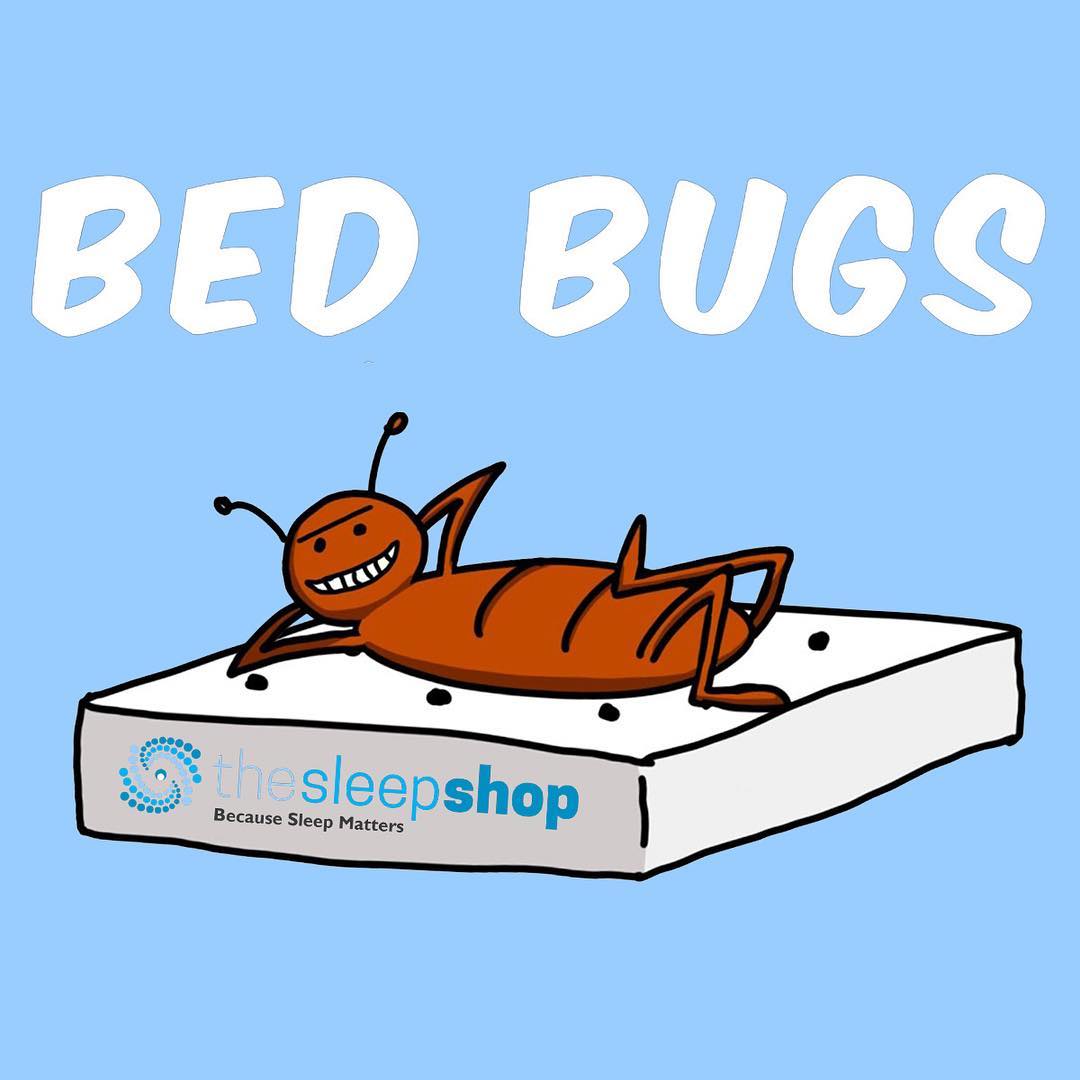 Bed Bugs - The Sleep Shop.ie